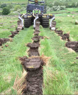 Forestry Ground Prep Ltd – Specialist Forestry Ground Preparation